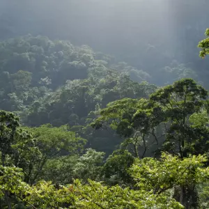 Home page - Global Nature Fund