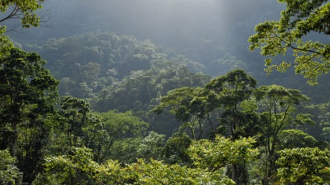 Global Nature Fund | About us