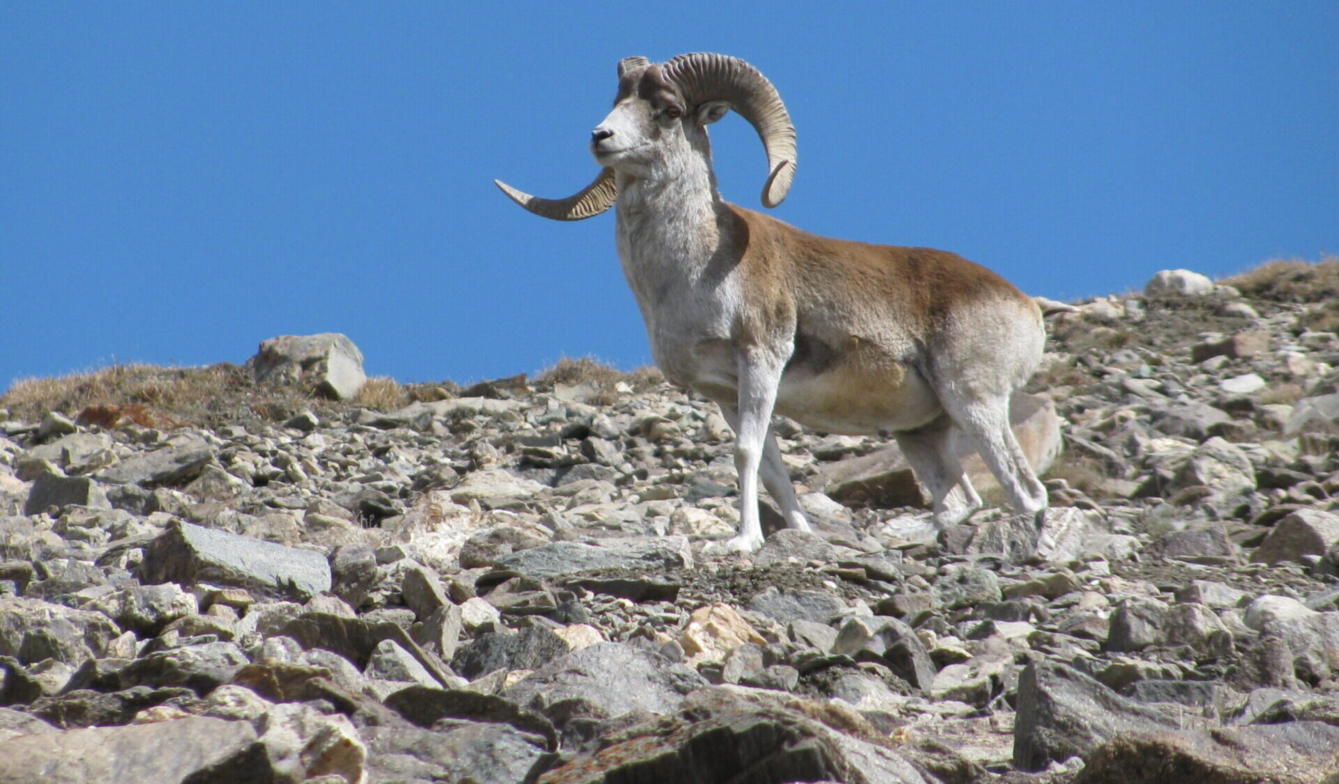 Large donation or endowment - Global Nature Fund