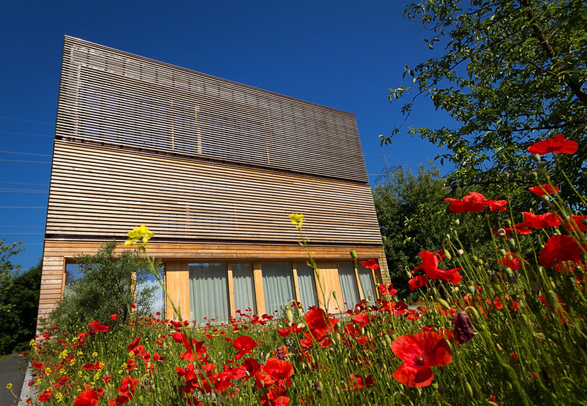 Company for biodiversity - UBi - Global Nature Fund
