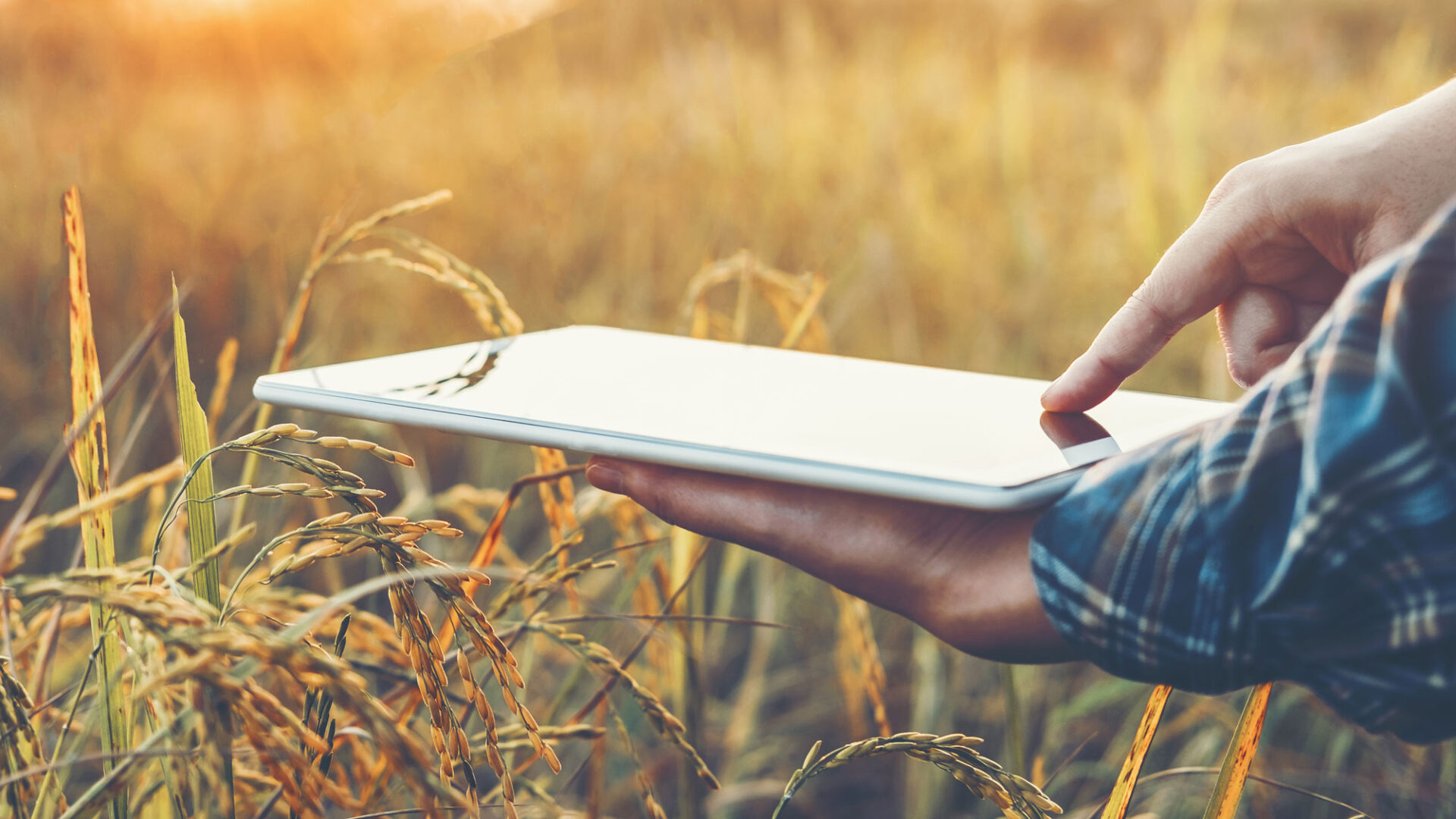 Sustainable food supply in Europe - Global Nature Fund
