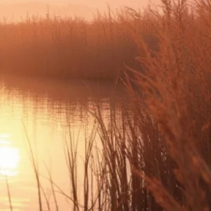 Home page - Global Nature Fund